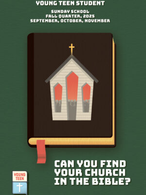 Sunday School Curriculum by Bogard Press